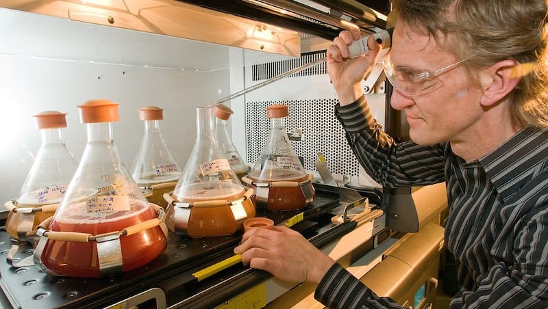 The Replication Crisis Gripping American Science - America Out Loud News